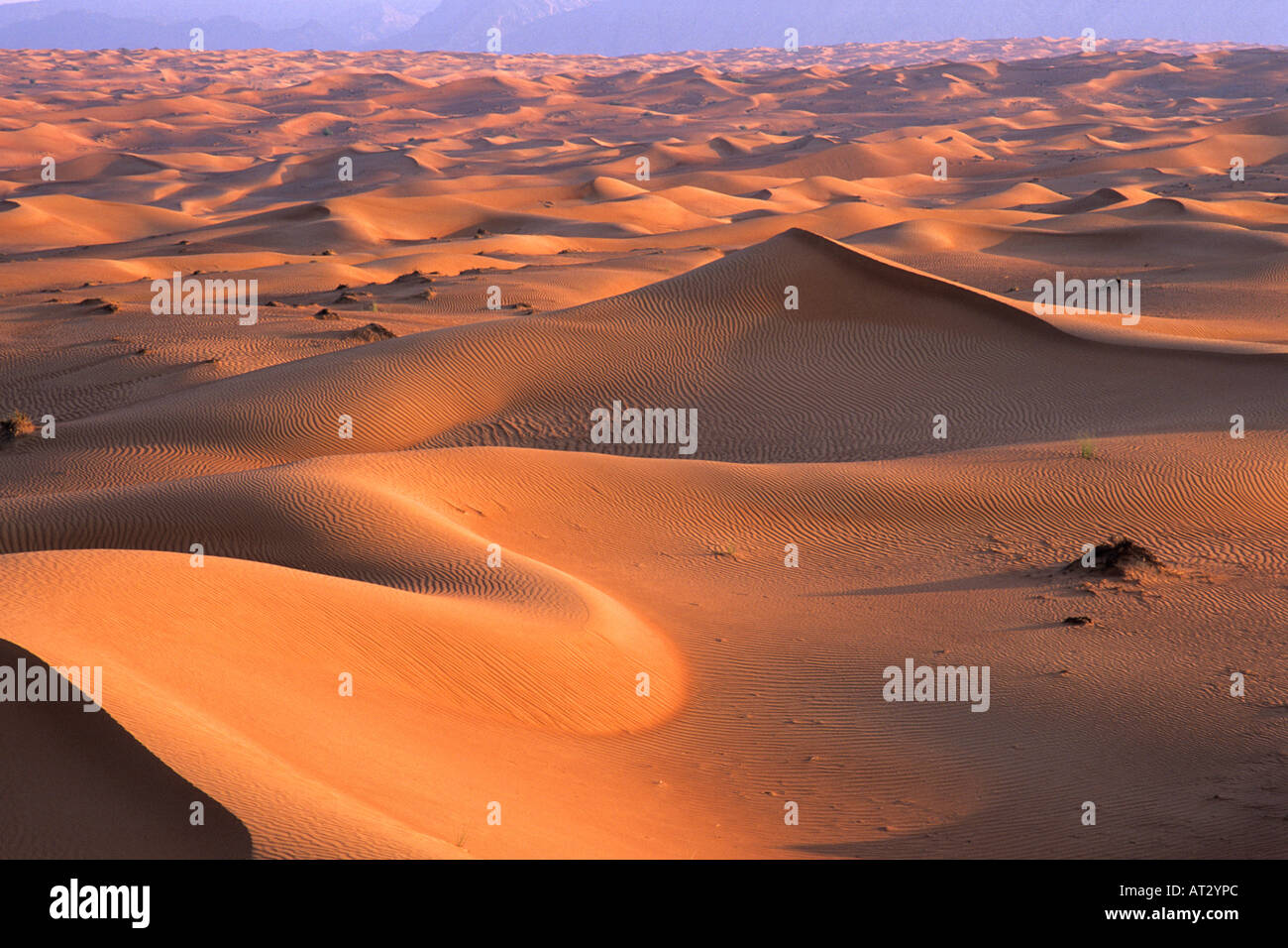 Sand dunes at Al Hayer near Dubai United Arab Emirates Stock Photo - Alamy