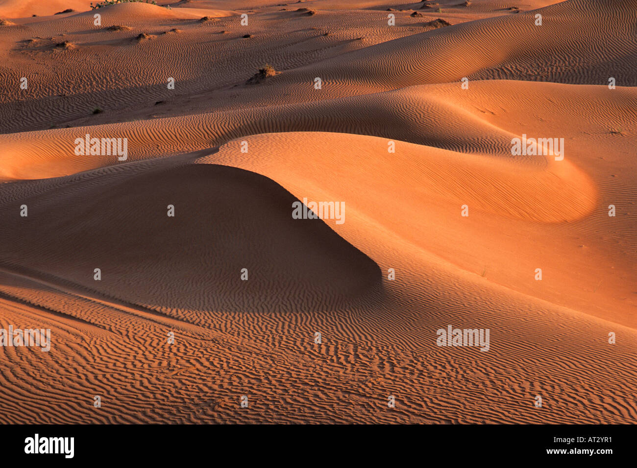 Sand dunes at Al Hayer near Dubai United Arab Emirates Stock Photo - Alamy