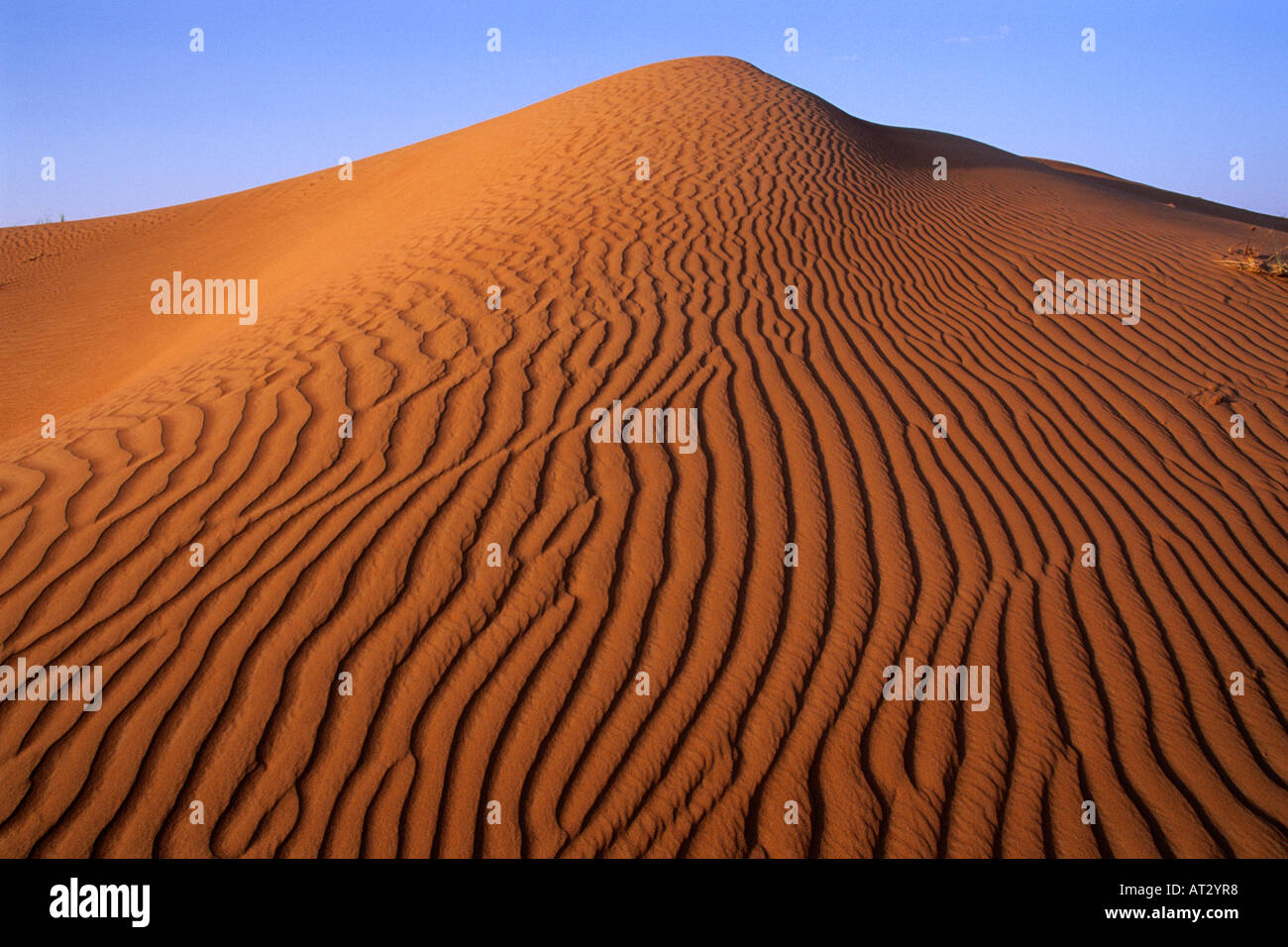 Sand dunes at Al Hayer near Dubai United Arab Emirates Stock Photo - Alamy
