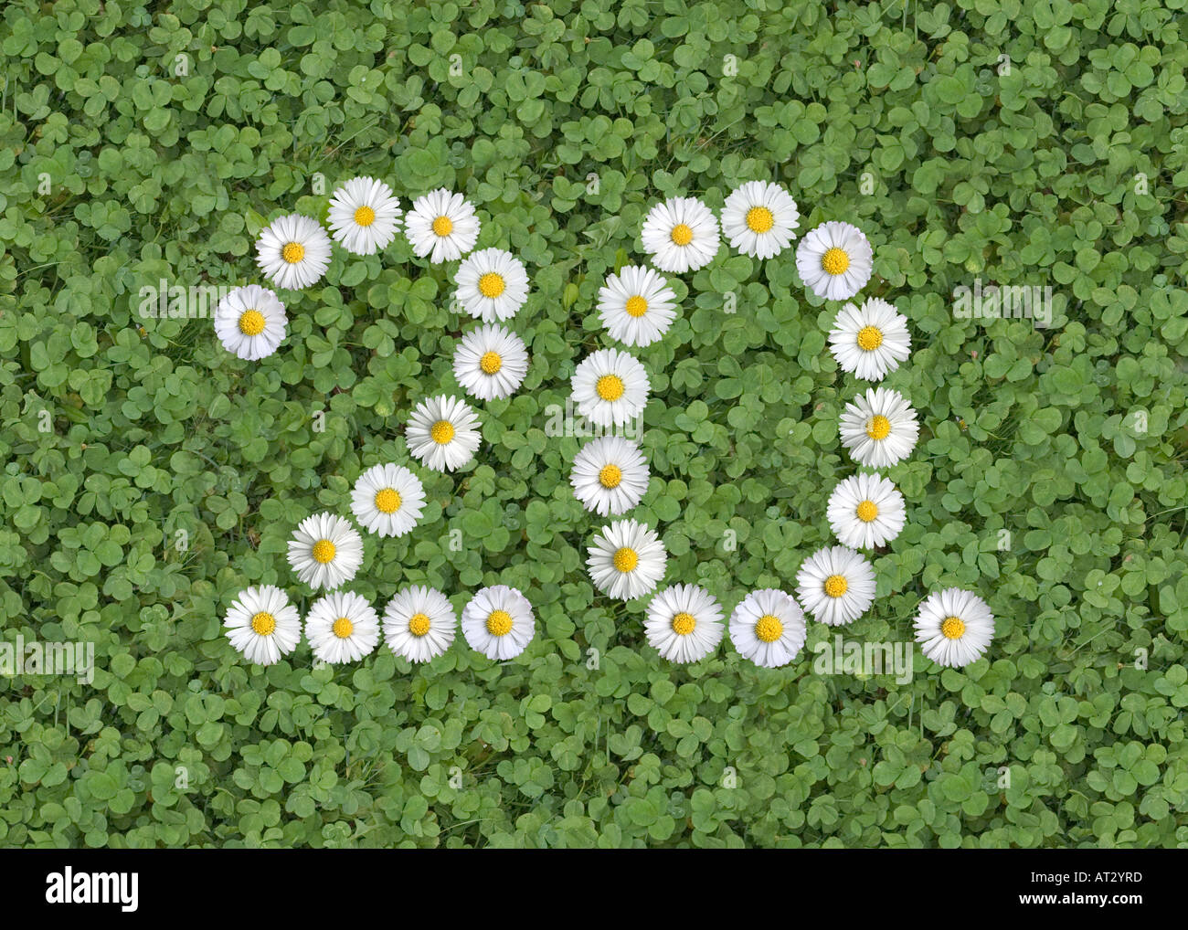 Number 20 with flowers hi-res stock photography and images - Alamy