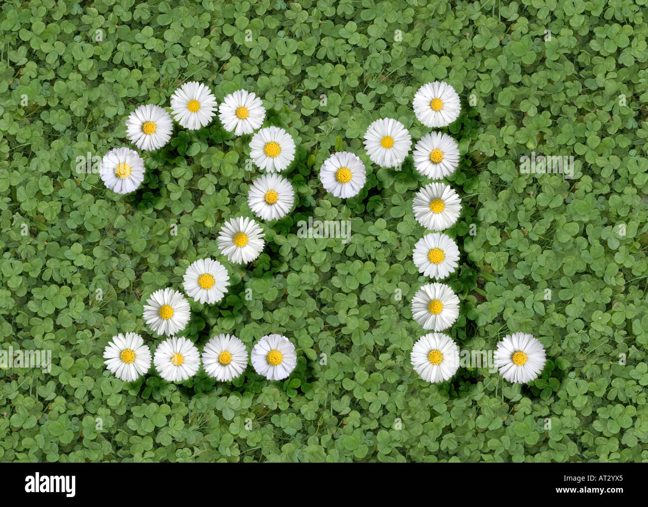 21 flowers hi-res stock photography and images - Alamy