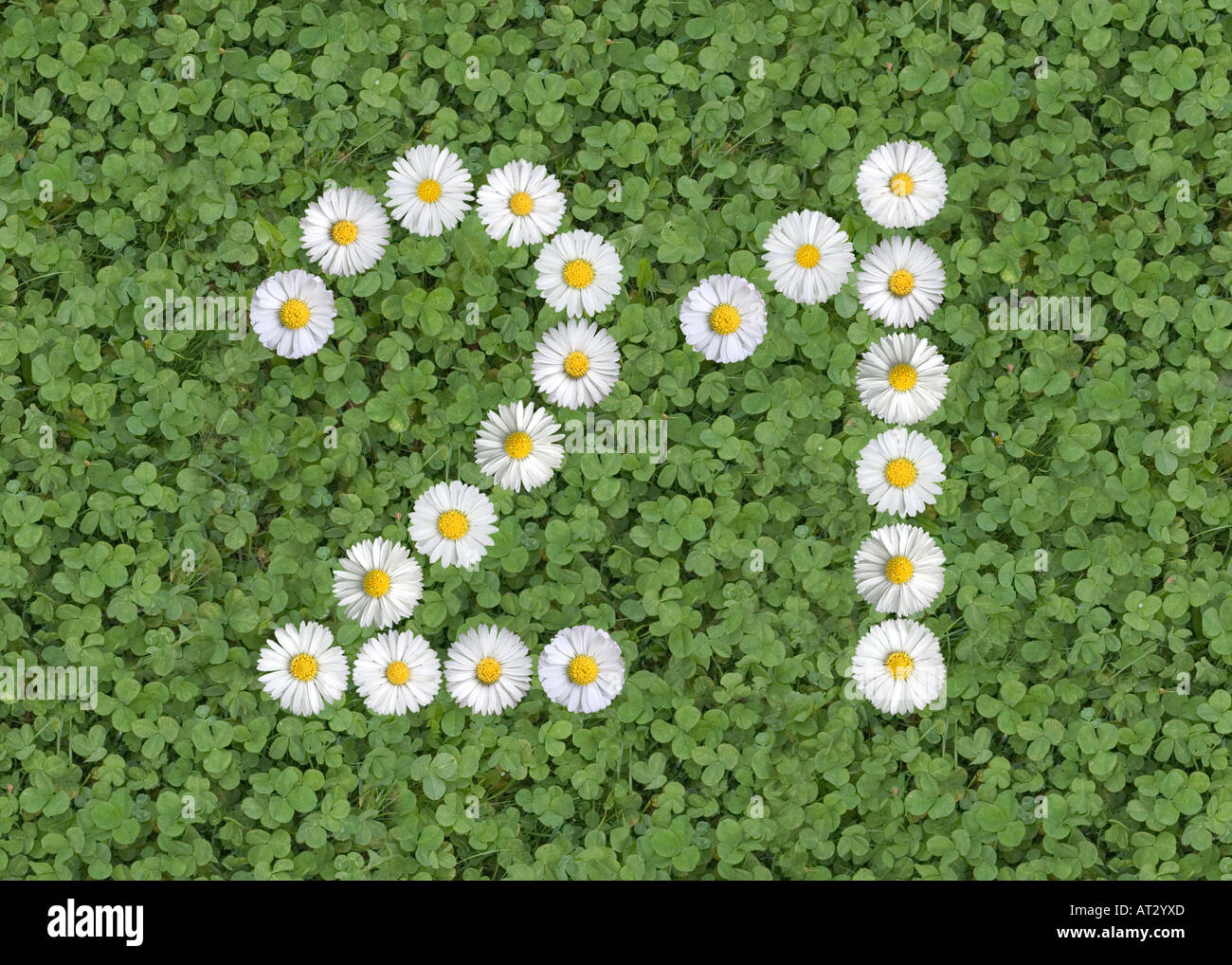 21 flowers hi-res stock photography and images - Alamy