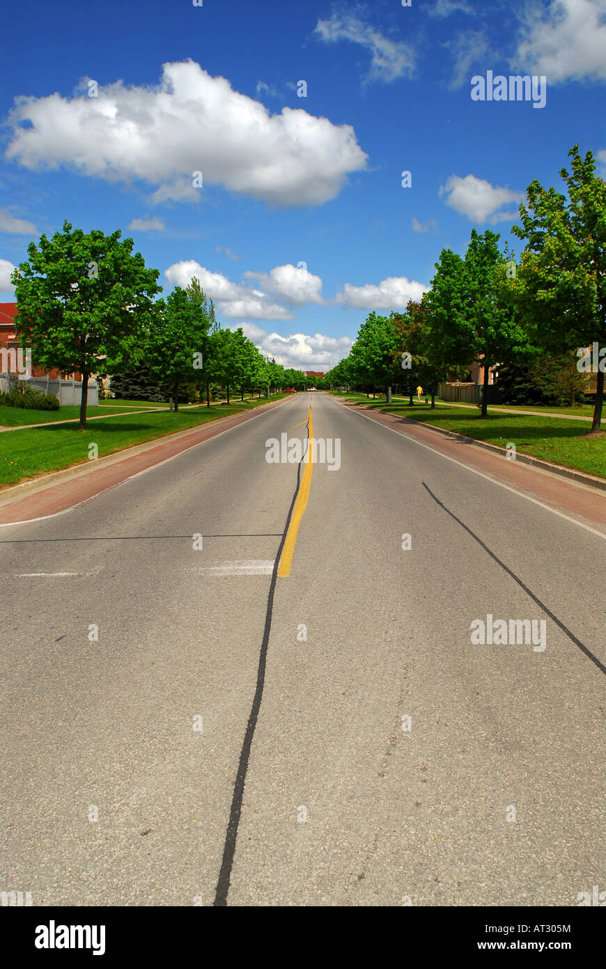 Empty residential street in suburban neighborhood lined with trees ...