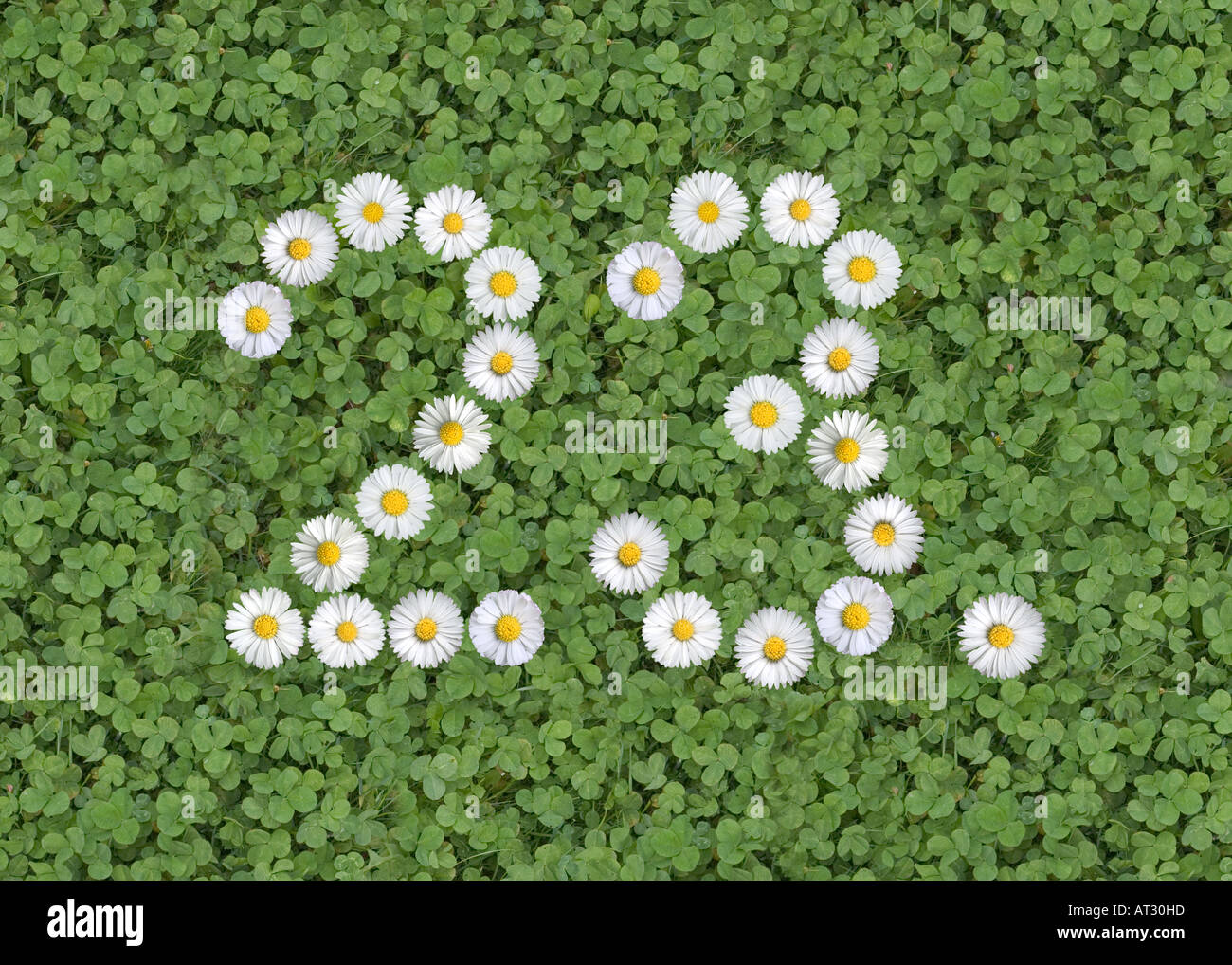 Fig 23 hi-res stock photography and images - Alamy