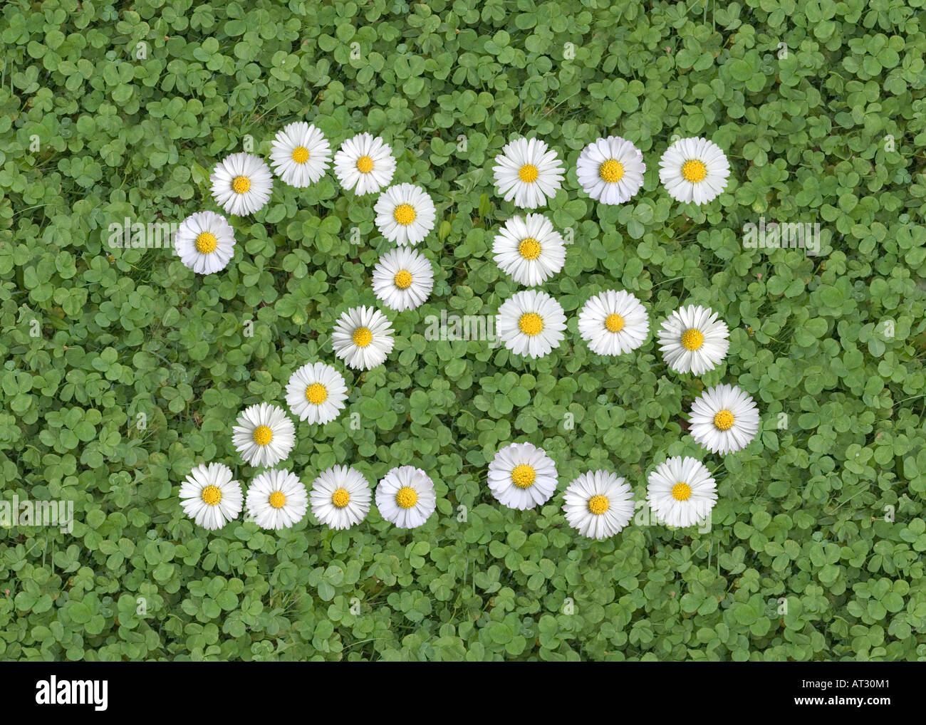 Number 25 with flowers hi-res stock photography and images - Alamy