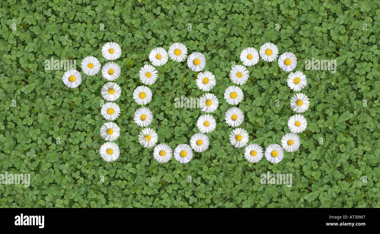 100 flowers hi-res stock photography and images - Alamy