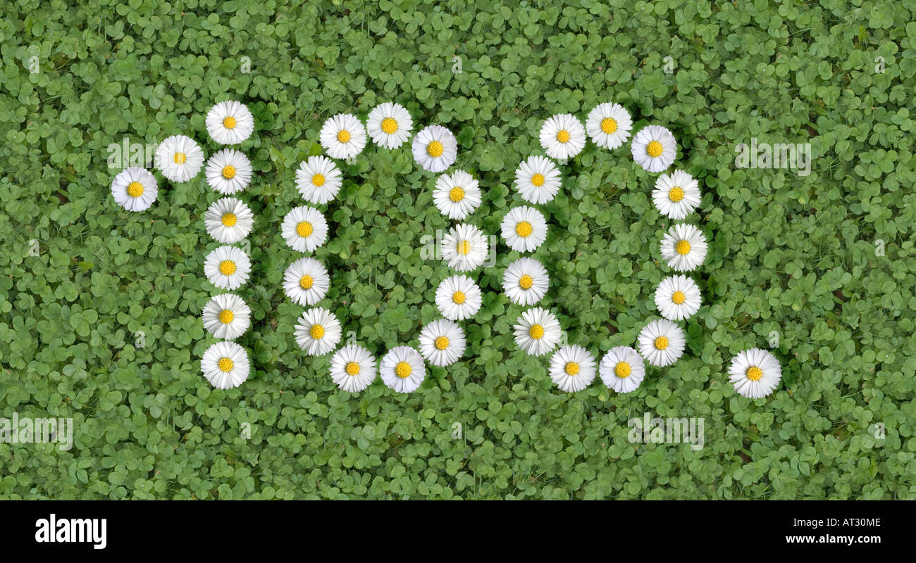 100 flowers hi-res stock photography and images - Alamy