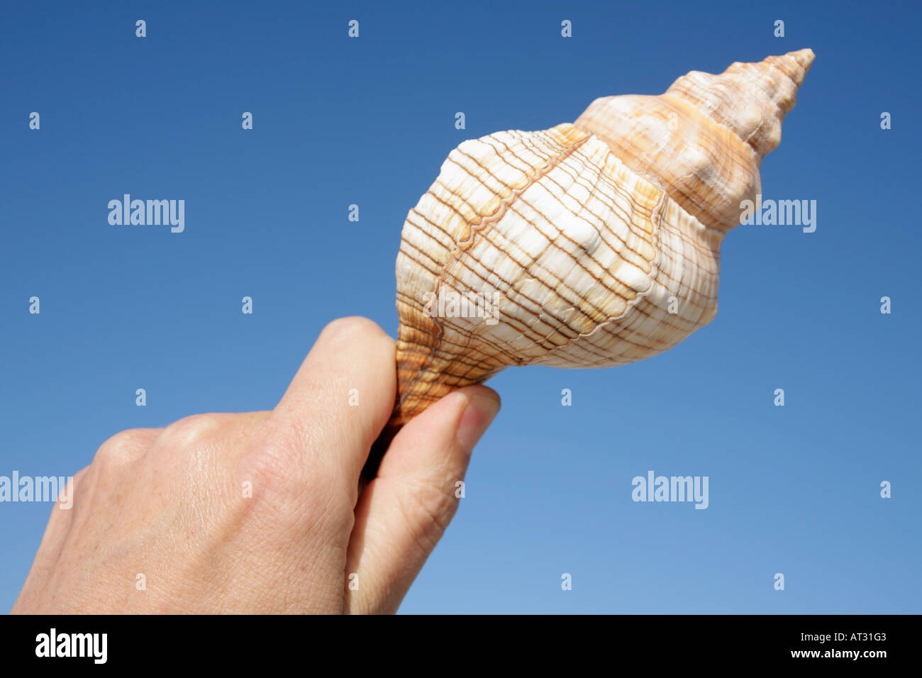 The hand, on the beach Cut Out Stock Images & Pictures - Alamy
