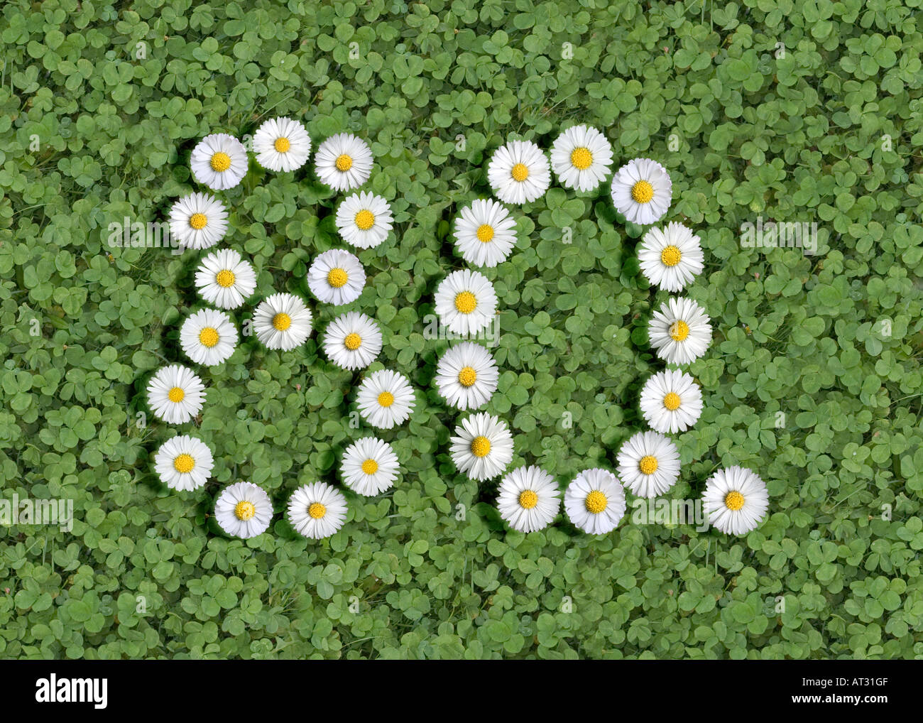 Number 80 flowers hi-res stock photography and images - Alamy