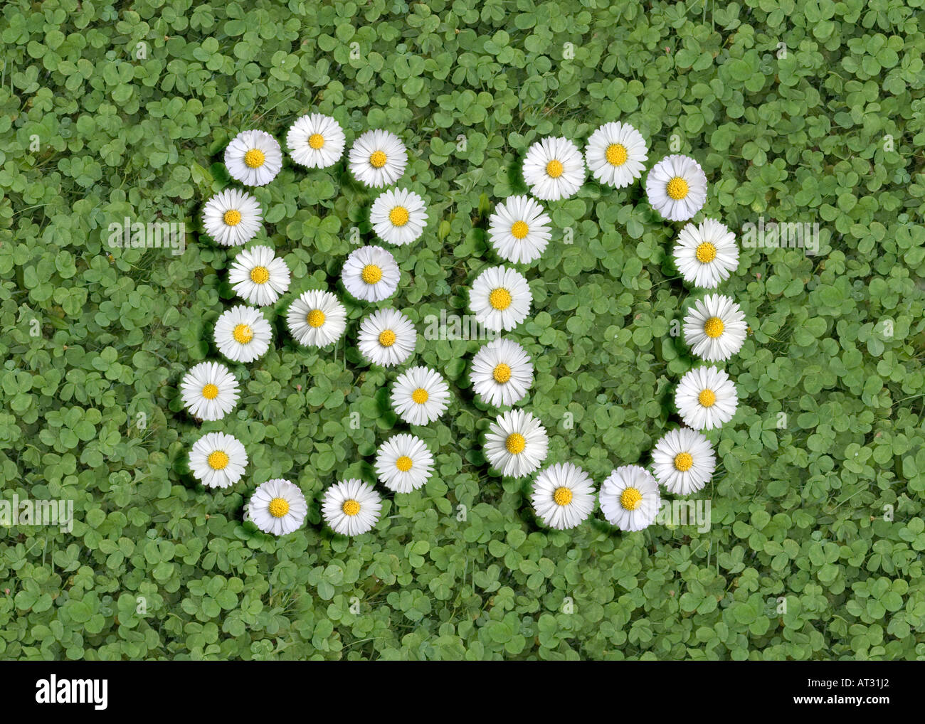 Number 80 flowers hi-res stock photography and images - Alamy