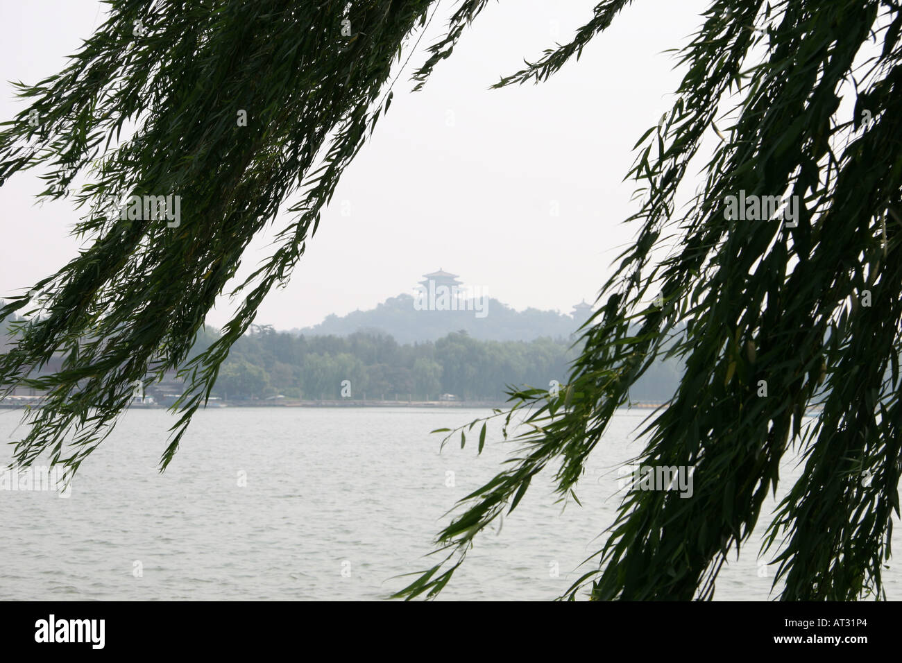 View of a pagoda through a Weeping Willow tree, on the banks of TaiYe ...