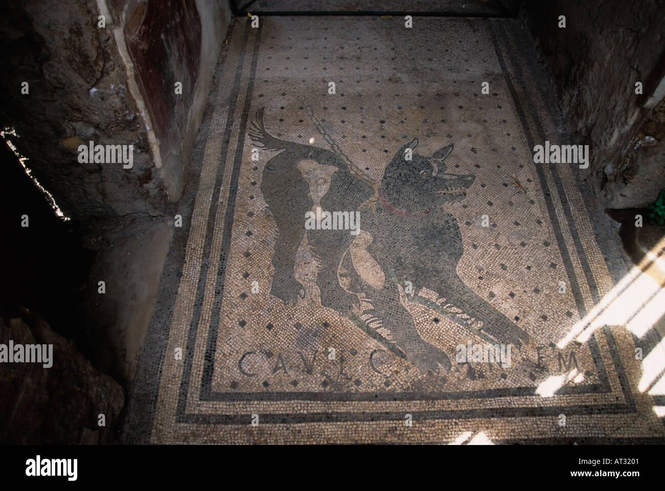 Mosaic tile dog in Pompeii Italy Inscription reads CAVE CAN EM Stock ...
