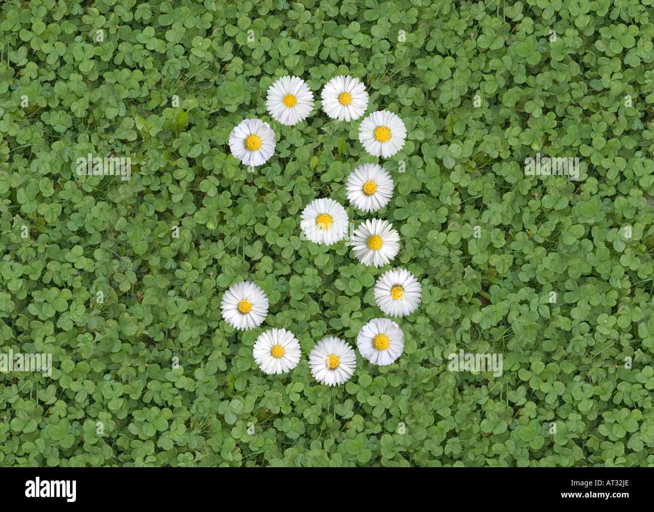 Clover 3 hi-res stock photography and images - Alamy
