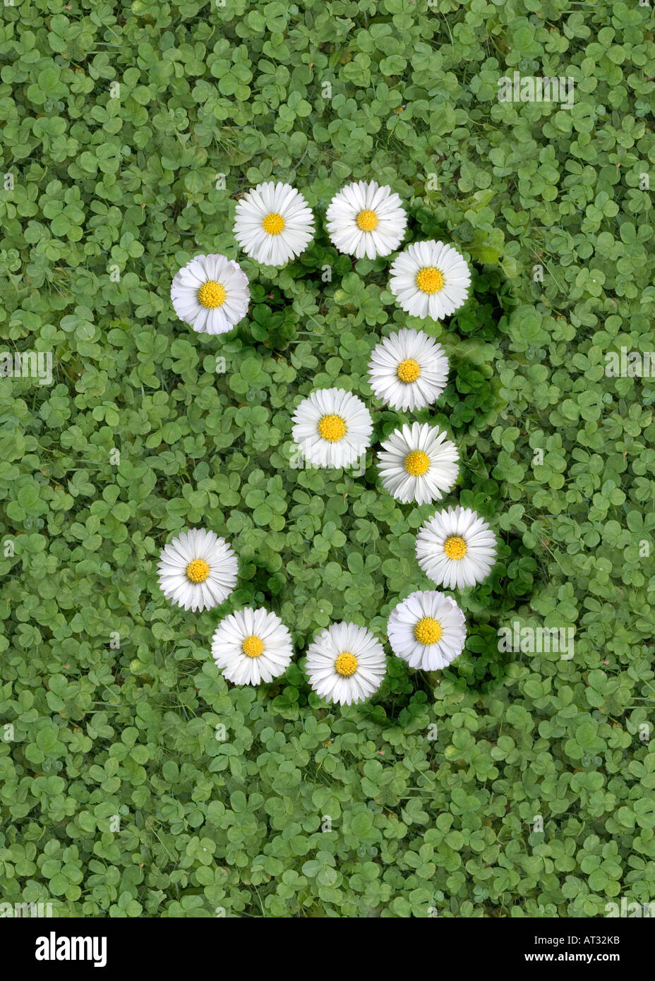 Clover 3 hi-res stock photography and images - Alamy