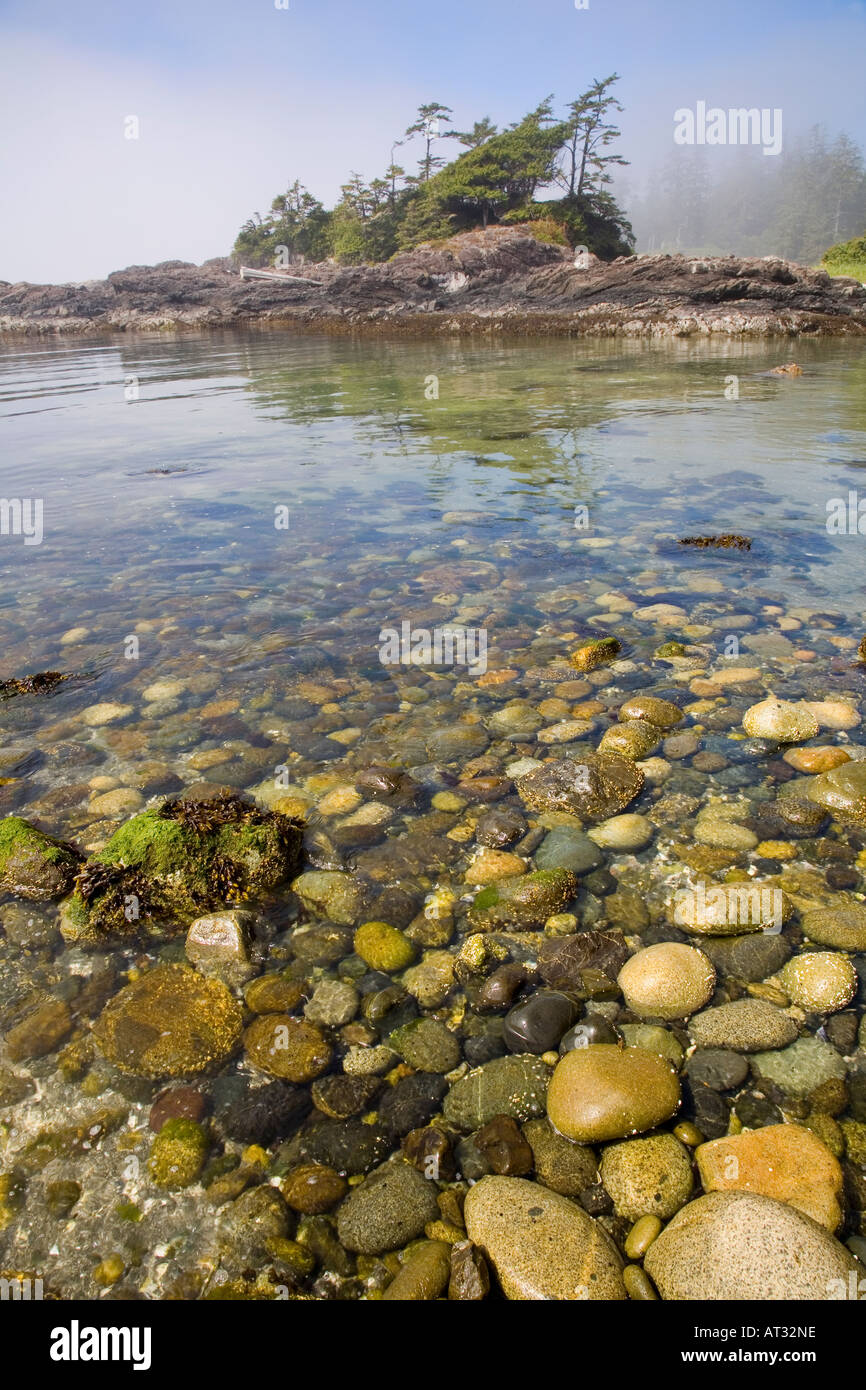 Wet rocks in shallows South Beach Pacific Rim national park reserve ...