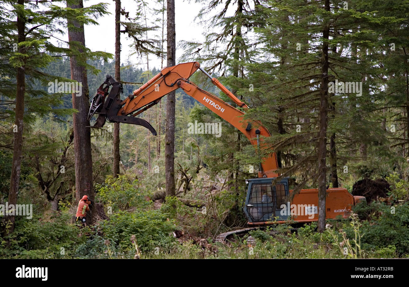Felling canada hi-res stock photography and images - Alamy