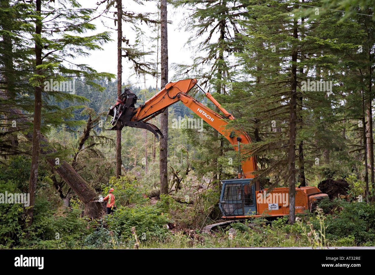 Felling canada hi-res stock photography and images - Alamy