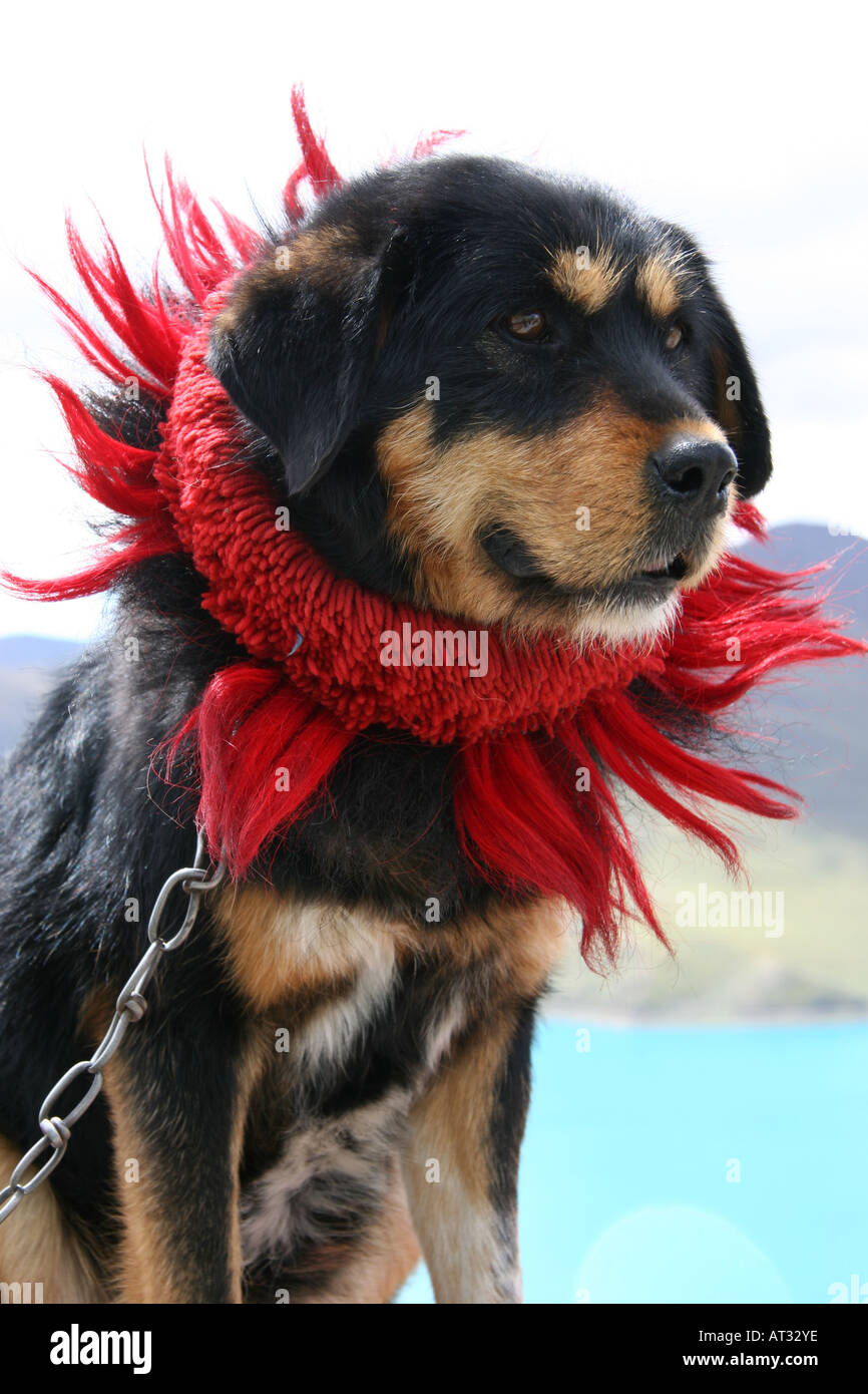 Ganba hi-res stock photography and images - Alamy