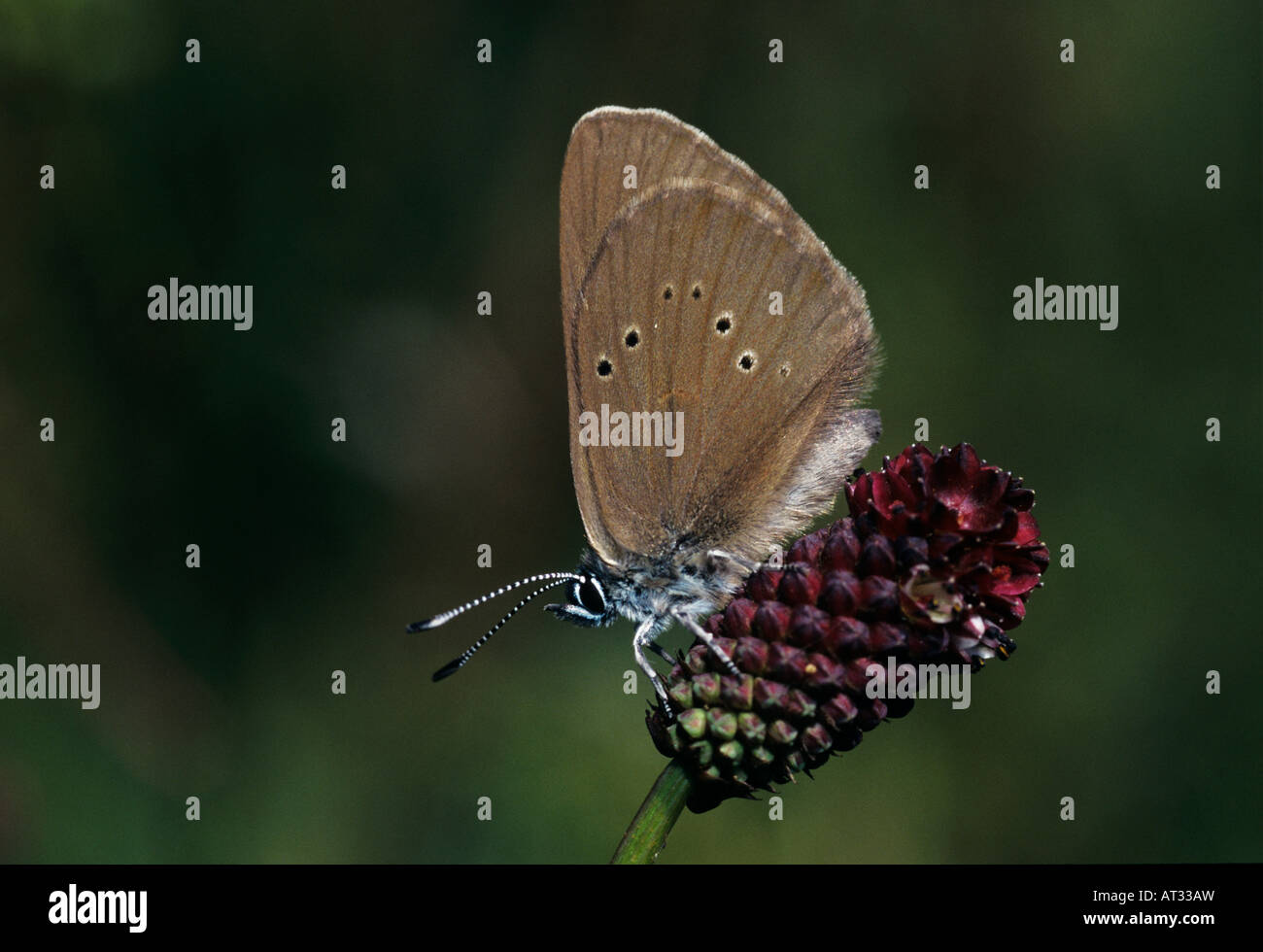 Rheindelta hi-res stock photography and images - Alamy