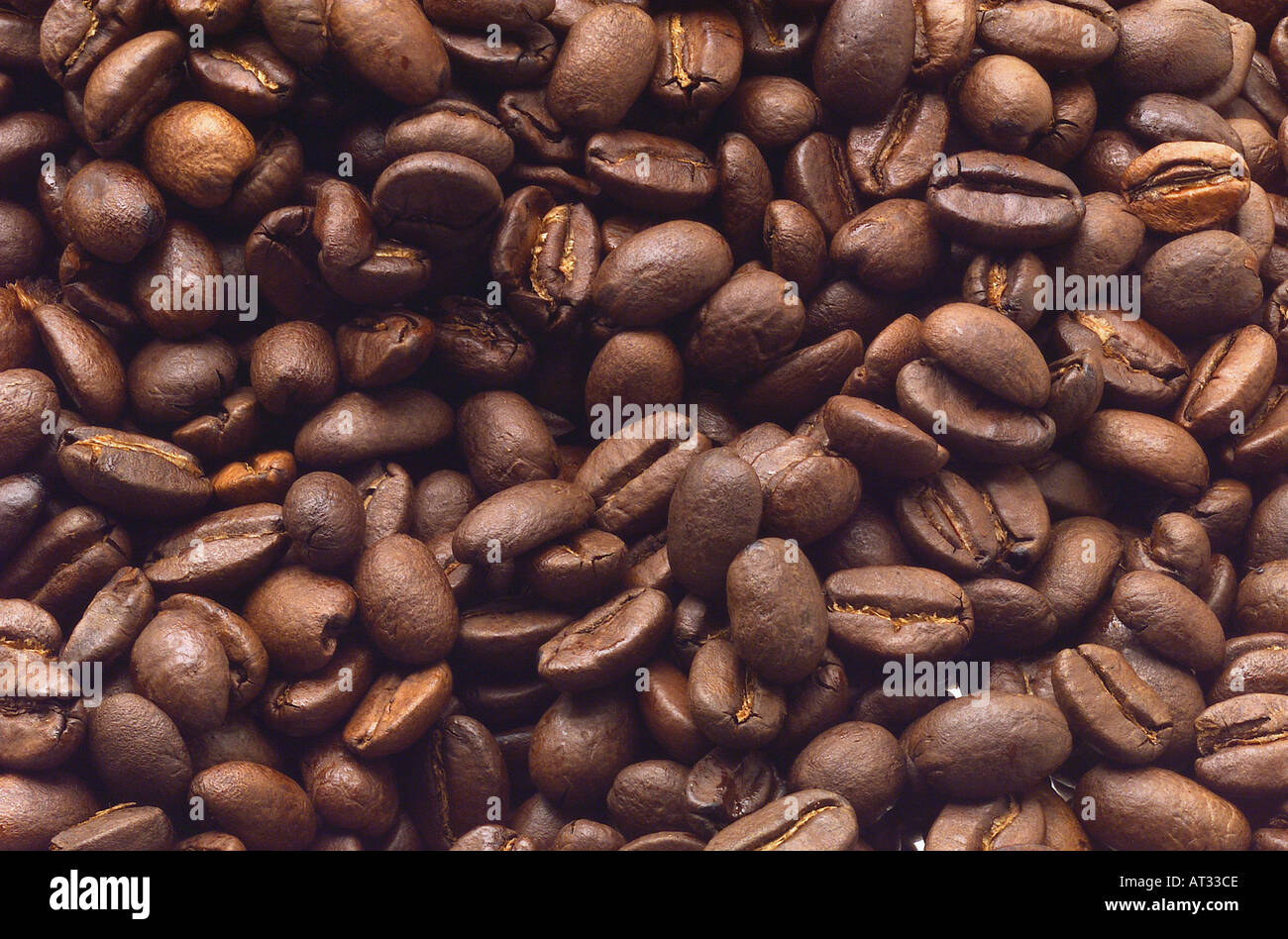 Close up of coffee beans Stock Photo - Alamy