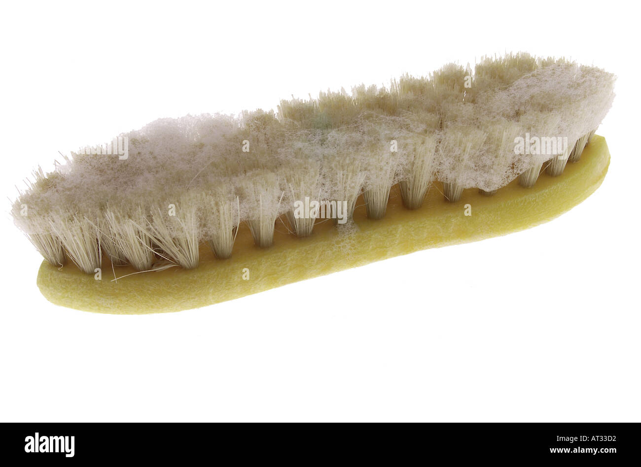 Scrubbing brush Still life on white background Stock Photo - Alamy