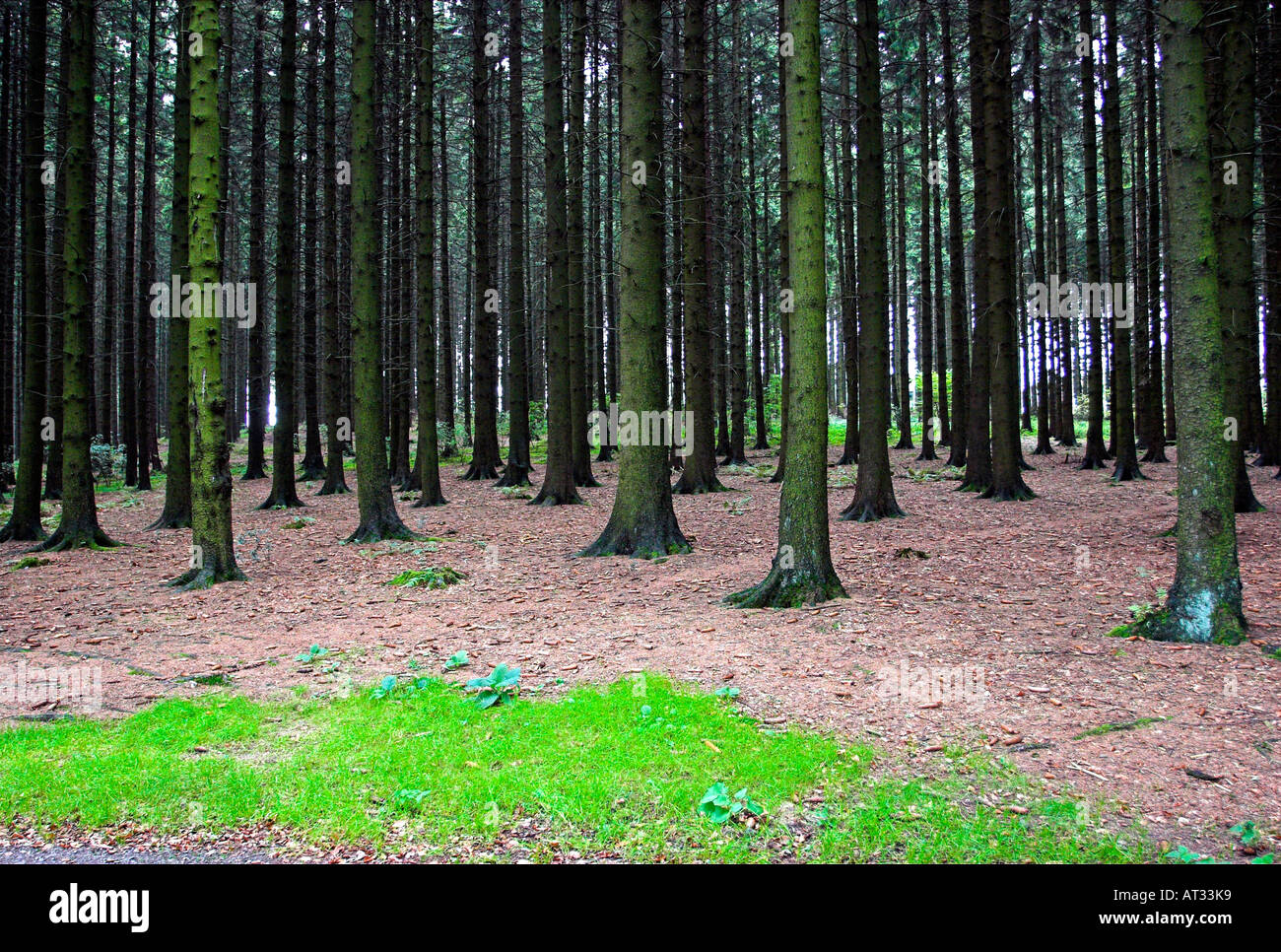 Outdoor scene nature hi-res stock photography and images - Alamy