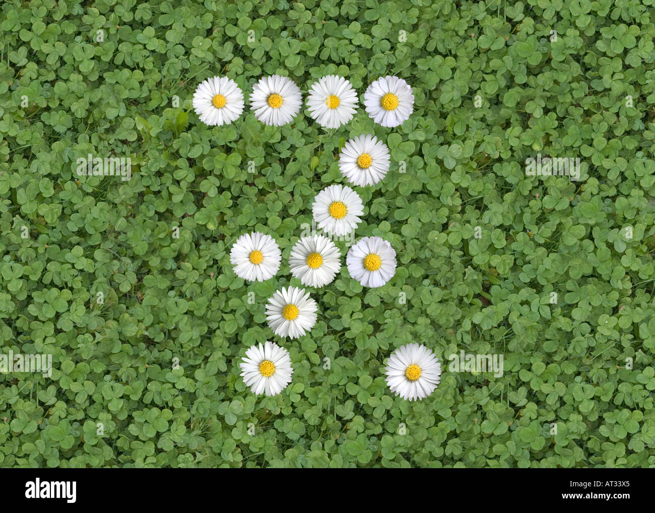 Number 7 flower hi-res stock photography and images - Alamy