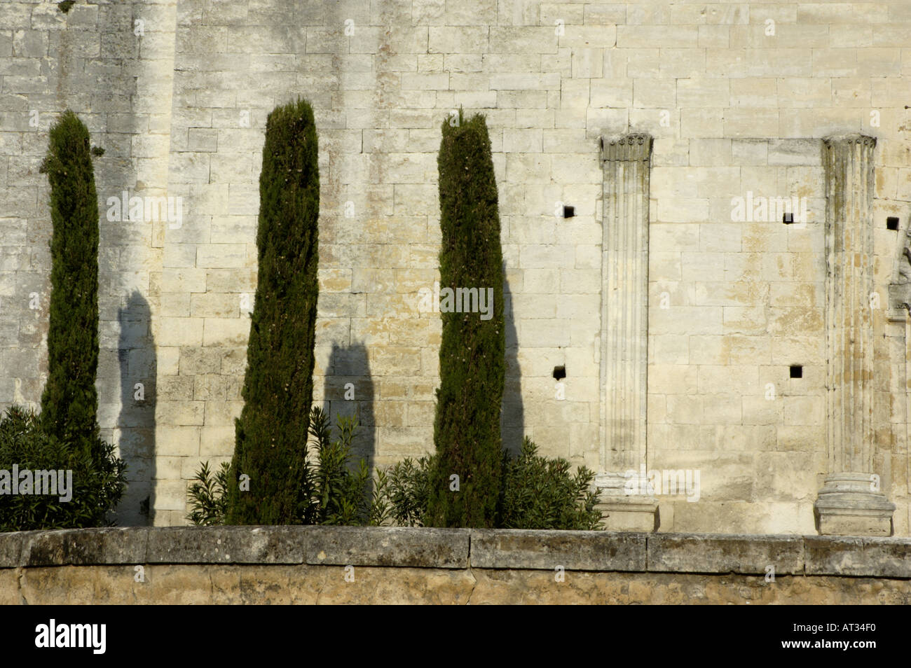 France Drome Saint Paul Trois Chateaux Three Cypress Trees On The ...