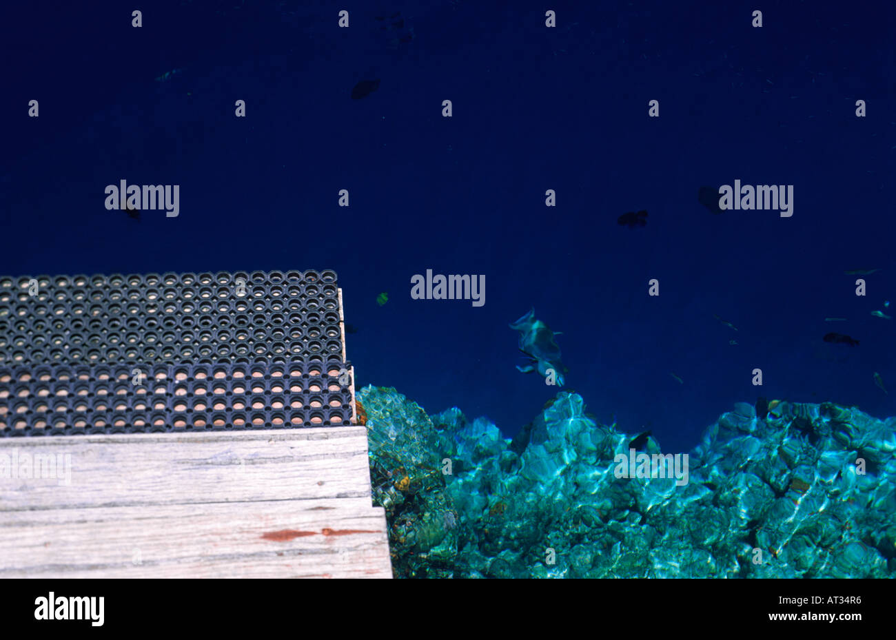 Edge of jetty on a Maldives island looking down to the outer house reef ...