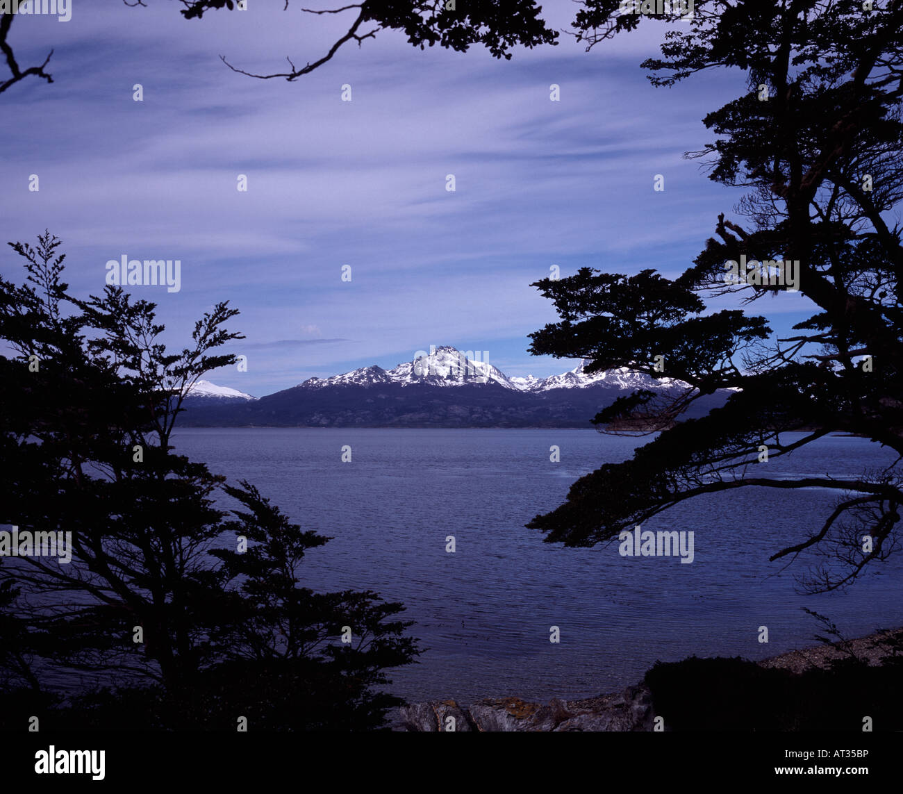Bahia Lapataia trees edging the shore and distant mountains Tierra del ...