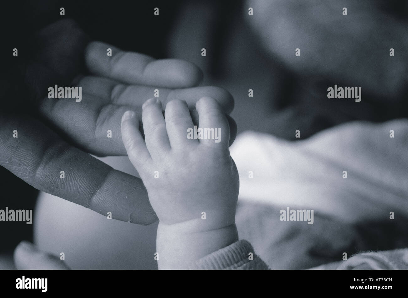 A baby's hand holding an adult's hand Stock Photo - Alamy