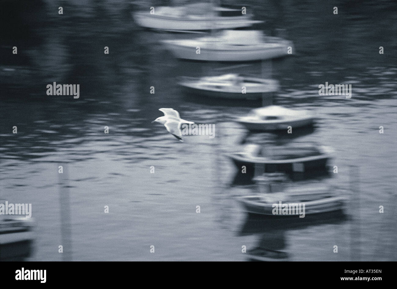 Flying over boats hi-res stock photography and images - Alamy