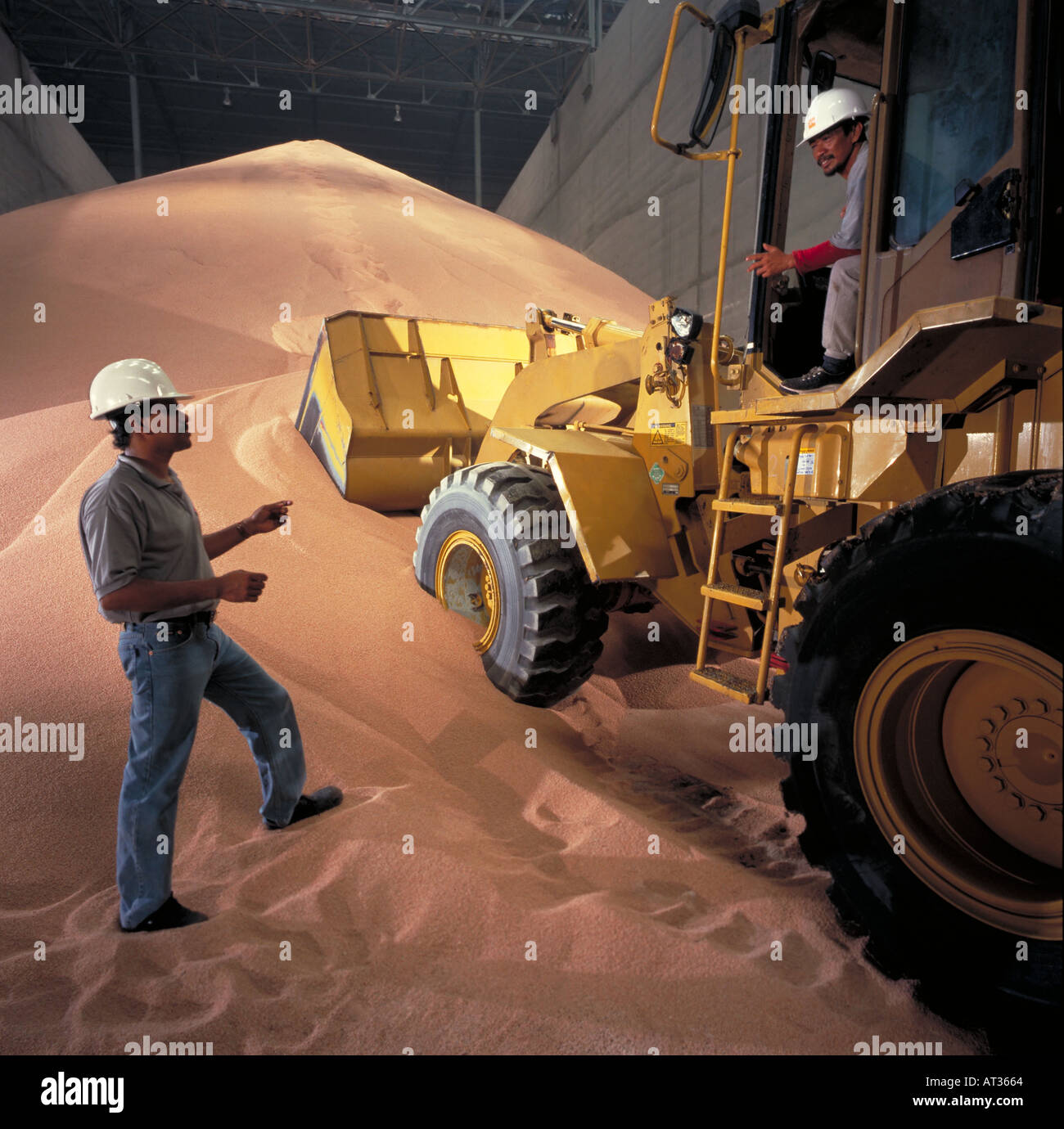 Warehouse operators in bulk storage facility for Ammonium Nitrate ...