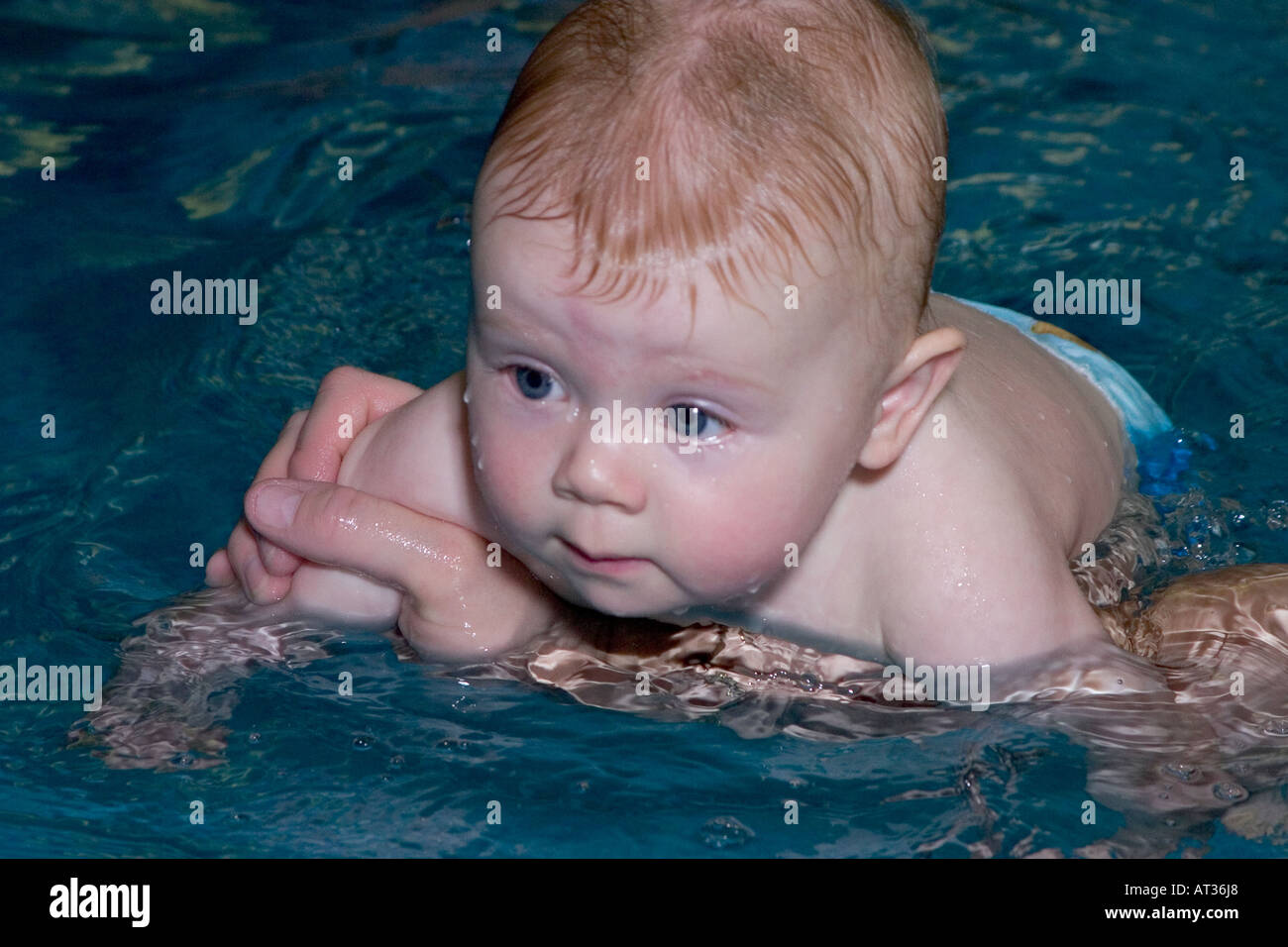 baby swimming in pool Stock Photo - Alamy