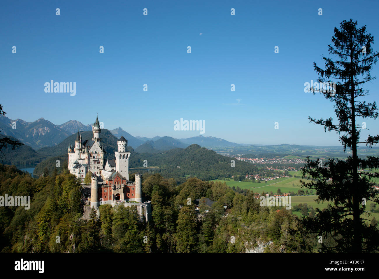 Panorama castle neuschwanstein alpsee hi-res stock photography and ...