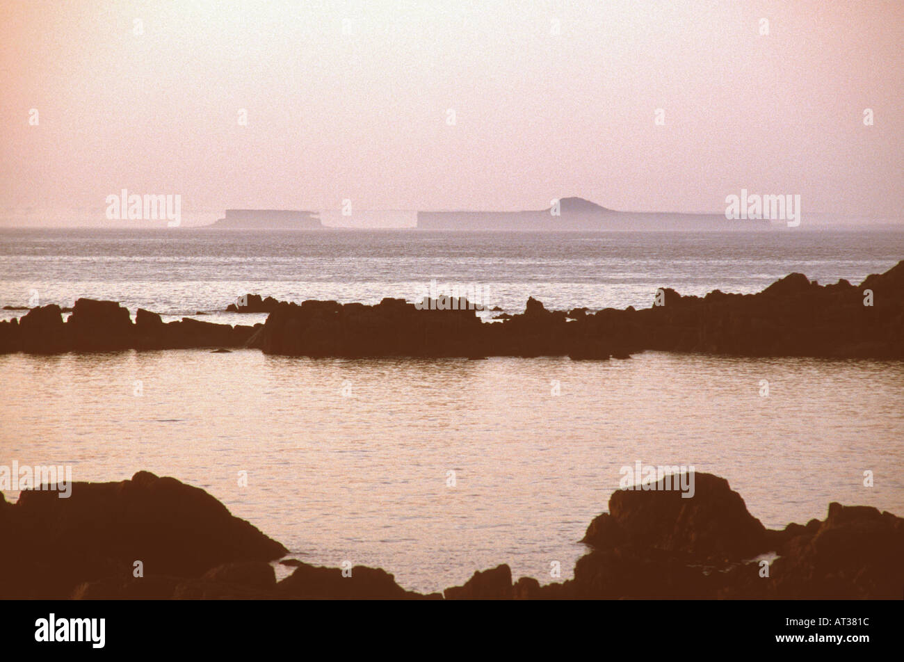 DUTCH MANS CAP FROM IONA Stock Photo - Alamy