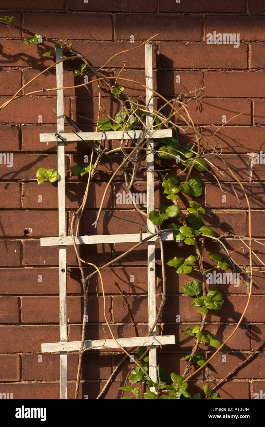 Angel backer hi-res stock photography and images - Alamy