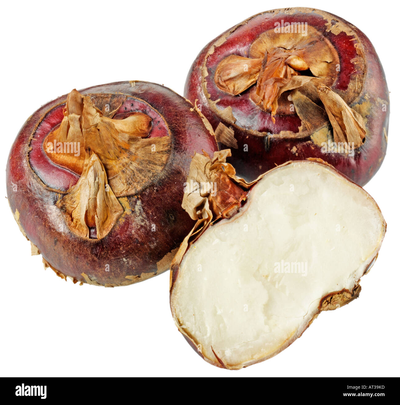 THREE WATER CHESTNUTS CUT OUT Stock Photo - Alamy