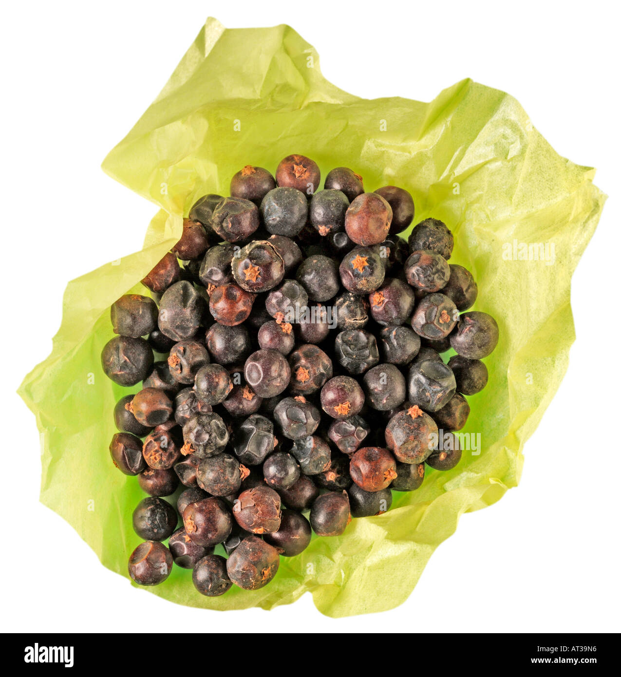 JUNIPER BERRIES CUT OUT Stock Photo - Alamy