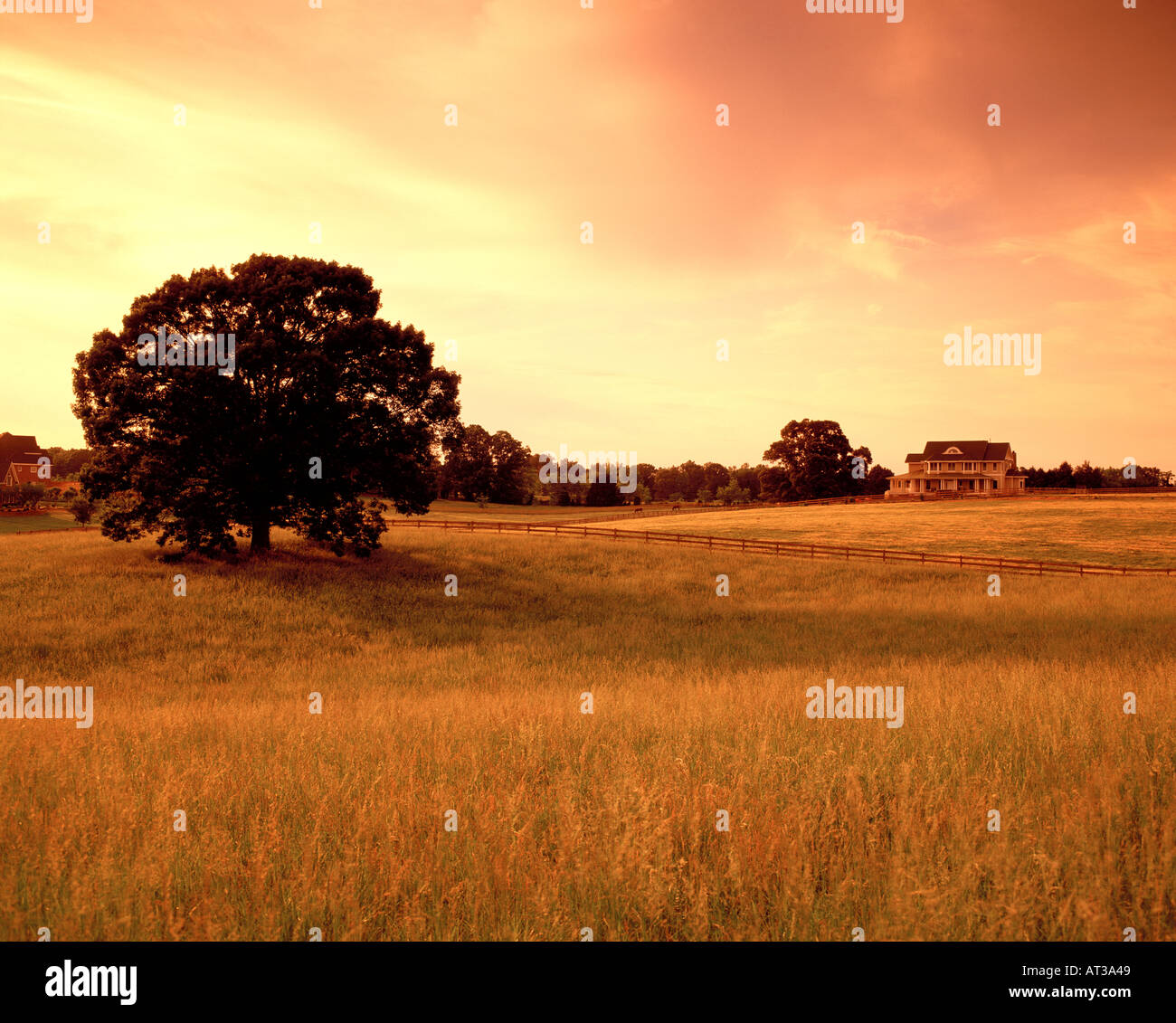 Back of two story house hi-res stock photography and images - Alamy