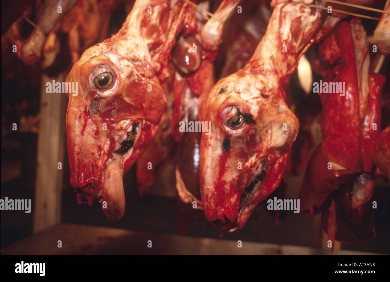 Goat heads at Smithfield meat market, London Stock Photo - Alamy