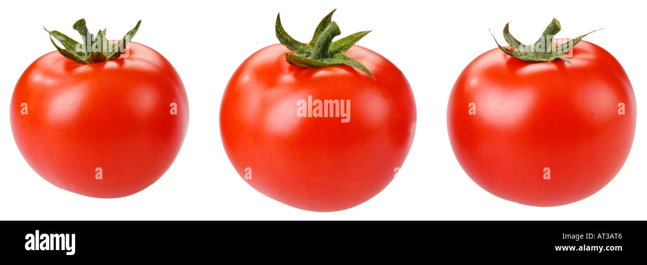 Knockout tomatoes hi-res stock photography and images - Alamy