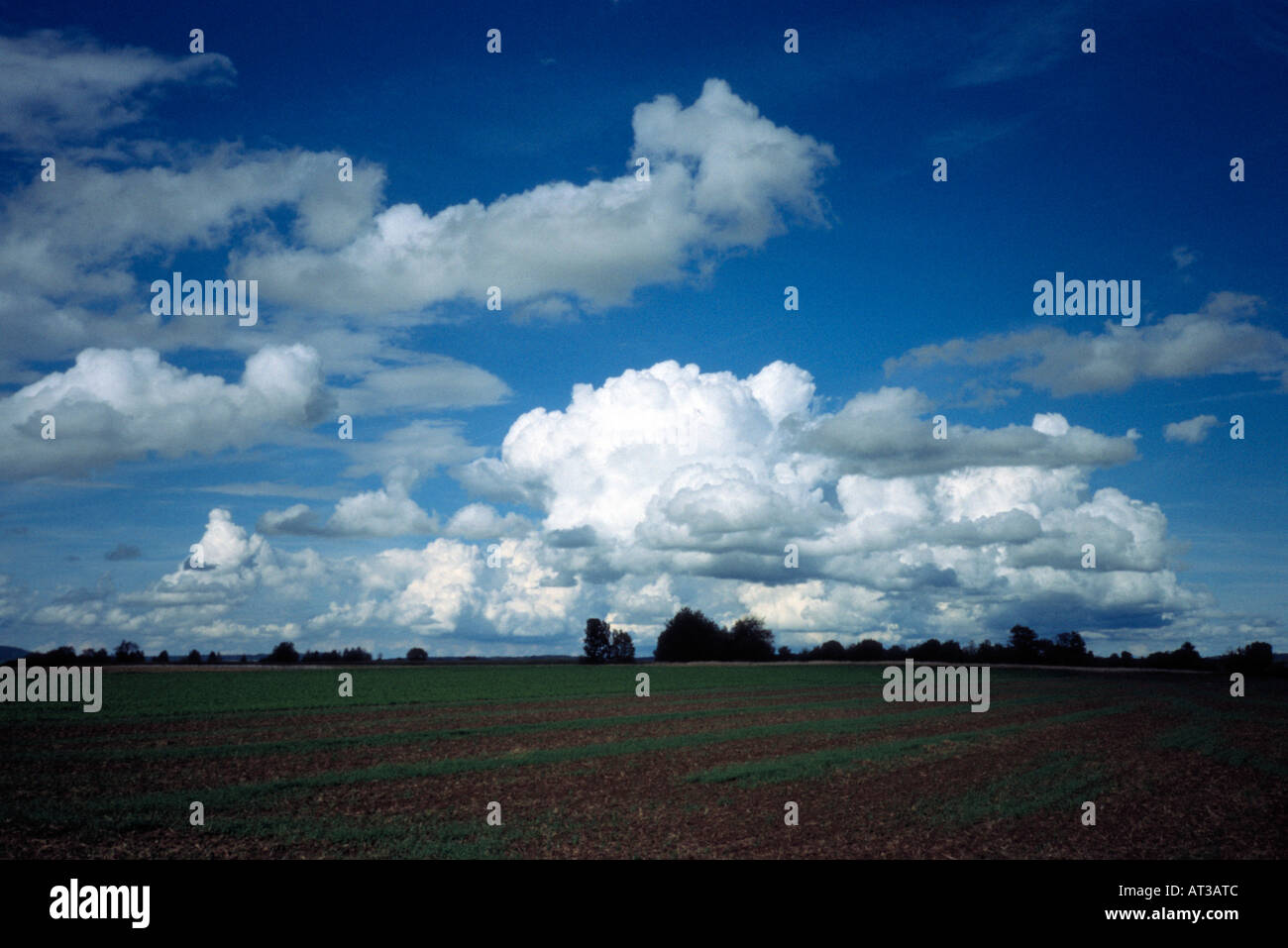 Blue sky with clouds over an open field Stock Photo - Alamy