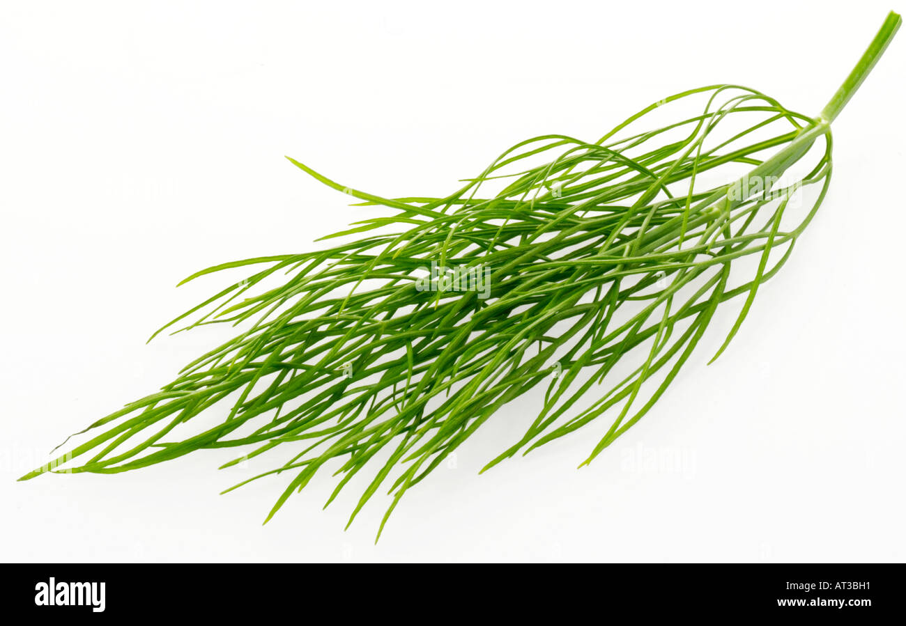 Garnish on white dropout knockout hi-res stock photography and images ...
