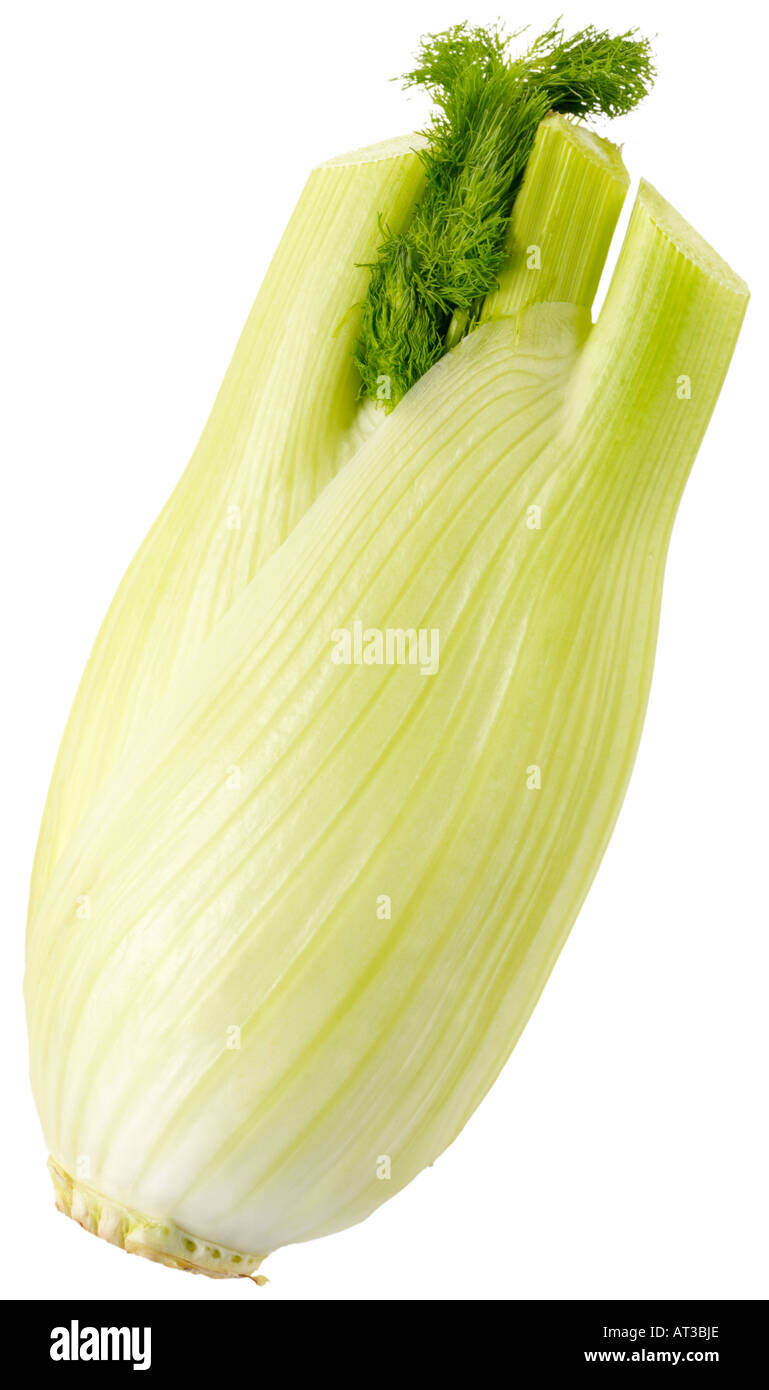 Whole Fennel High Resolution Stock Photography and Images - Alamy