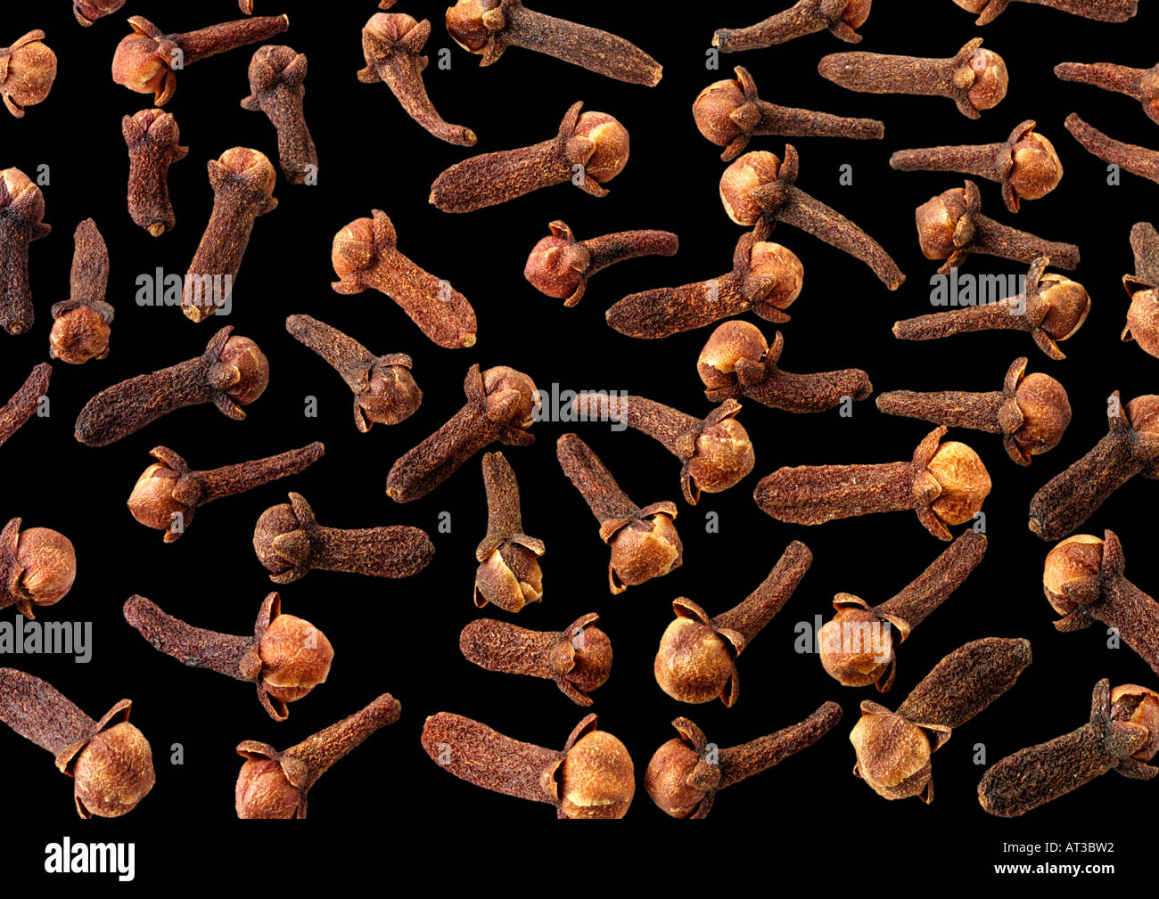 CLOVES ON BLACK Stock Photo - Alamy