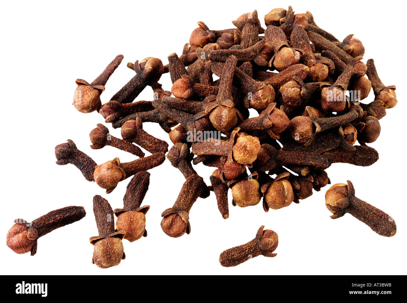 CLOVES CUT OUT Stock Photo - Alamy