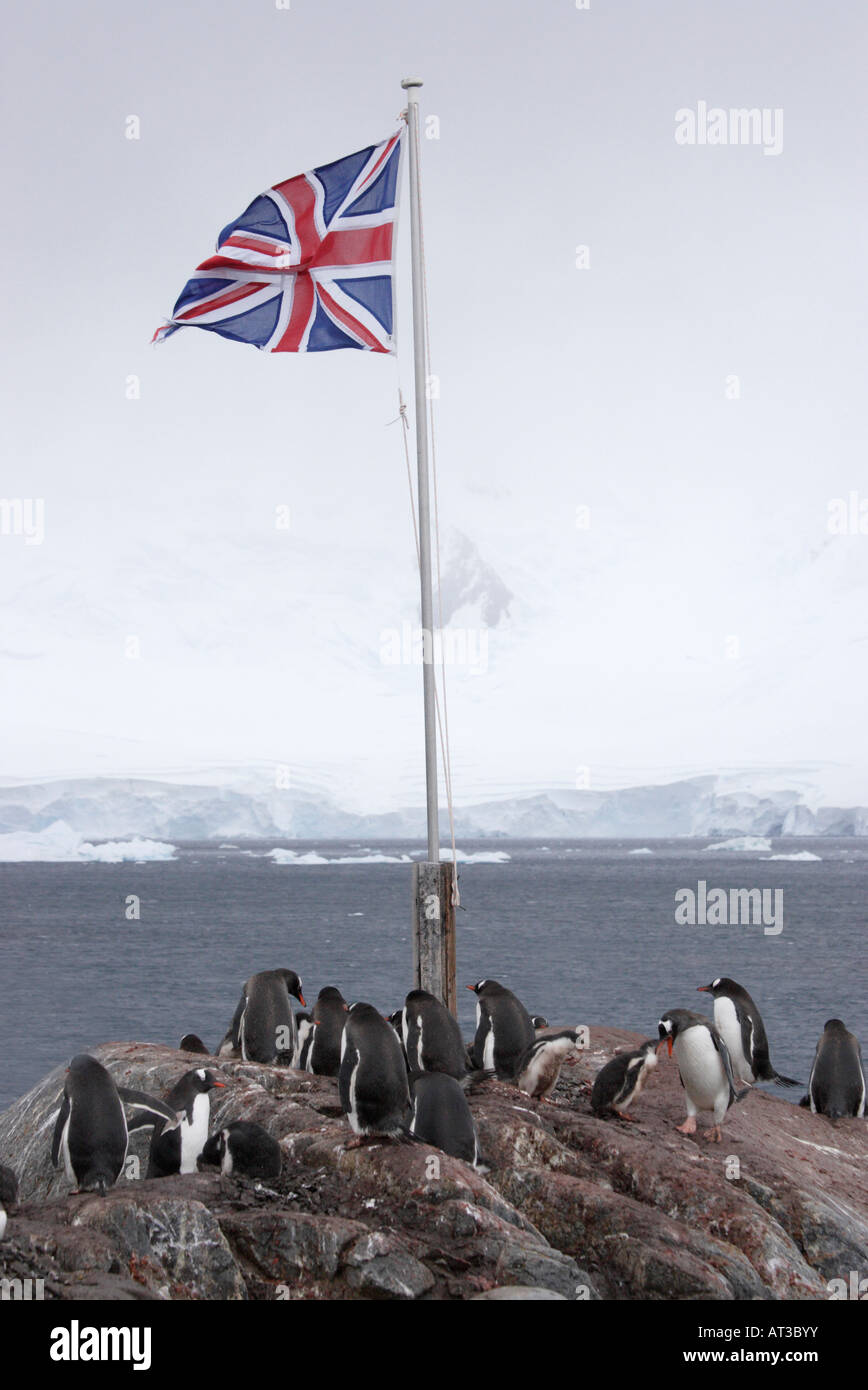Port Lockroy museum Antarctic peninsula Stock Photo - Alamy