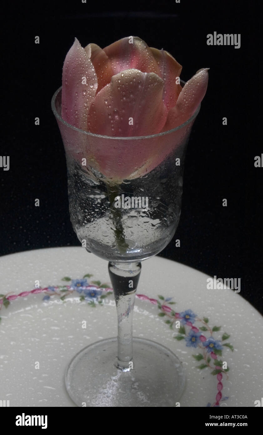 Pink goblet hi-res stock photography and images - Alamy