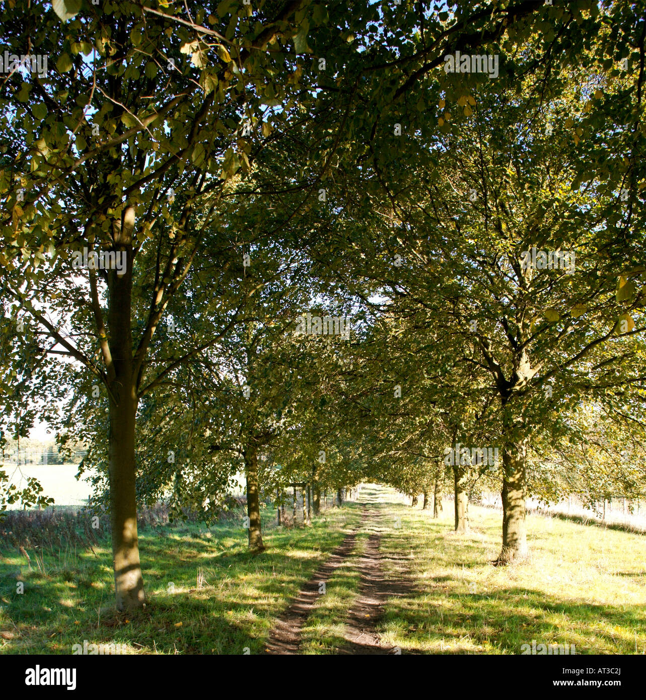 clinton baddesley footpath country bridleway path trail Stock Photo - Alamy